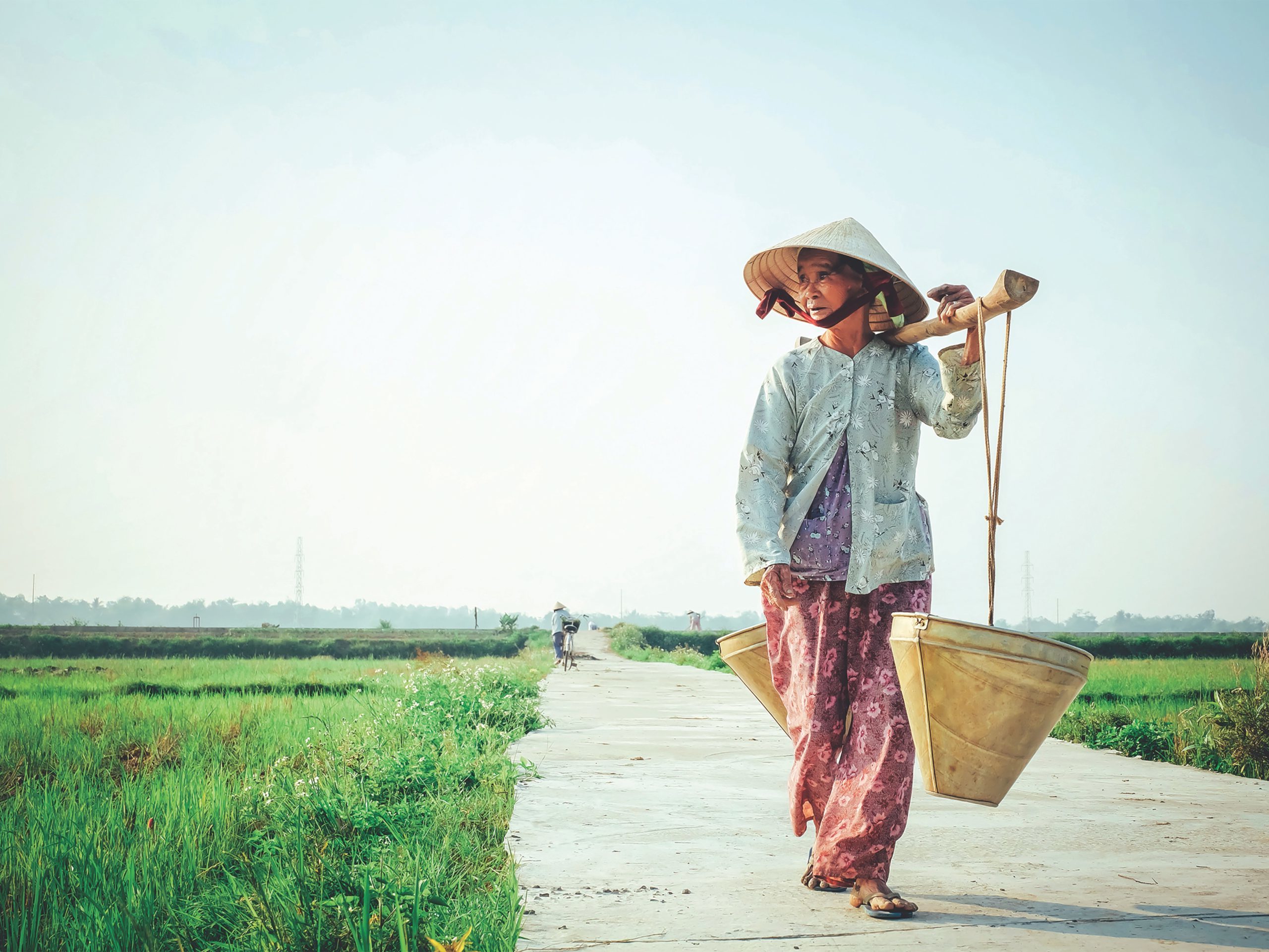 Vietnam Climate Change Impacts Rice Production and Migration