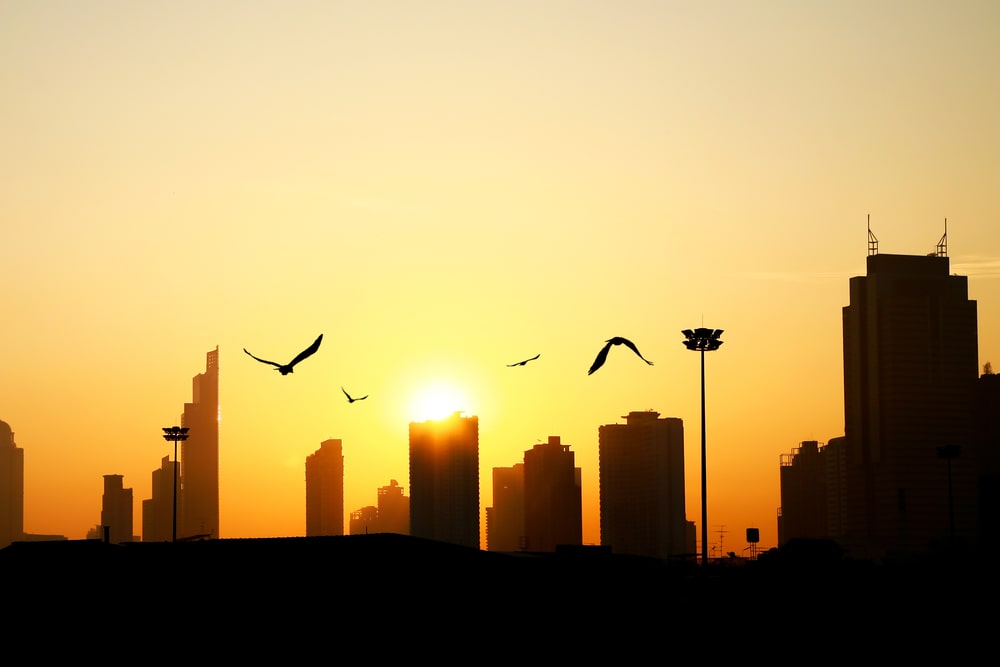 Analysing & understanding the impact of peacebuilding efforts