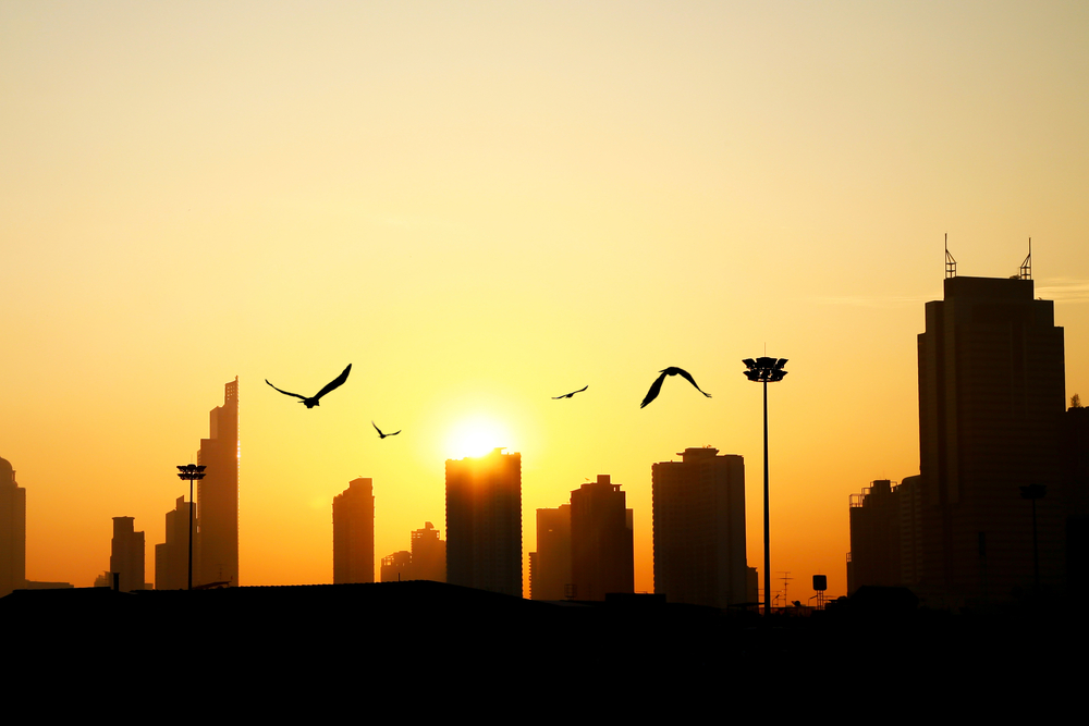 7 ways you can celebrate Peace Day